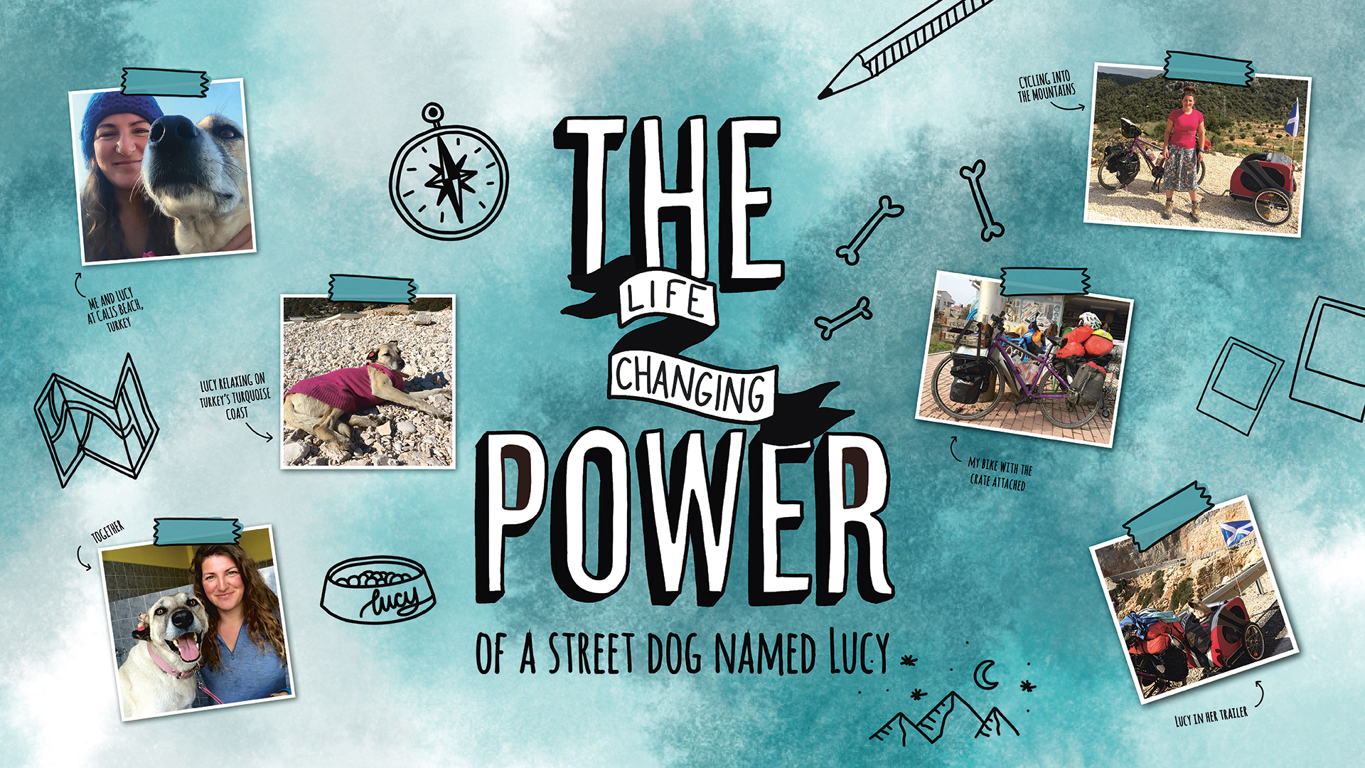 The life-changing power of a street dog named Lucy - Big Issue