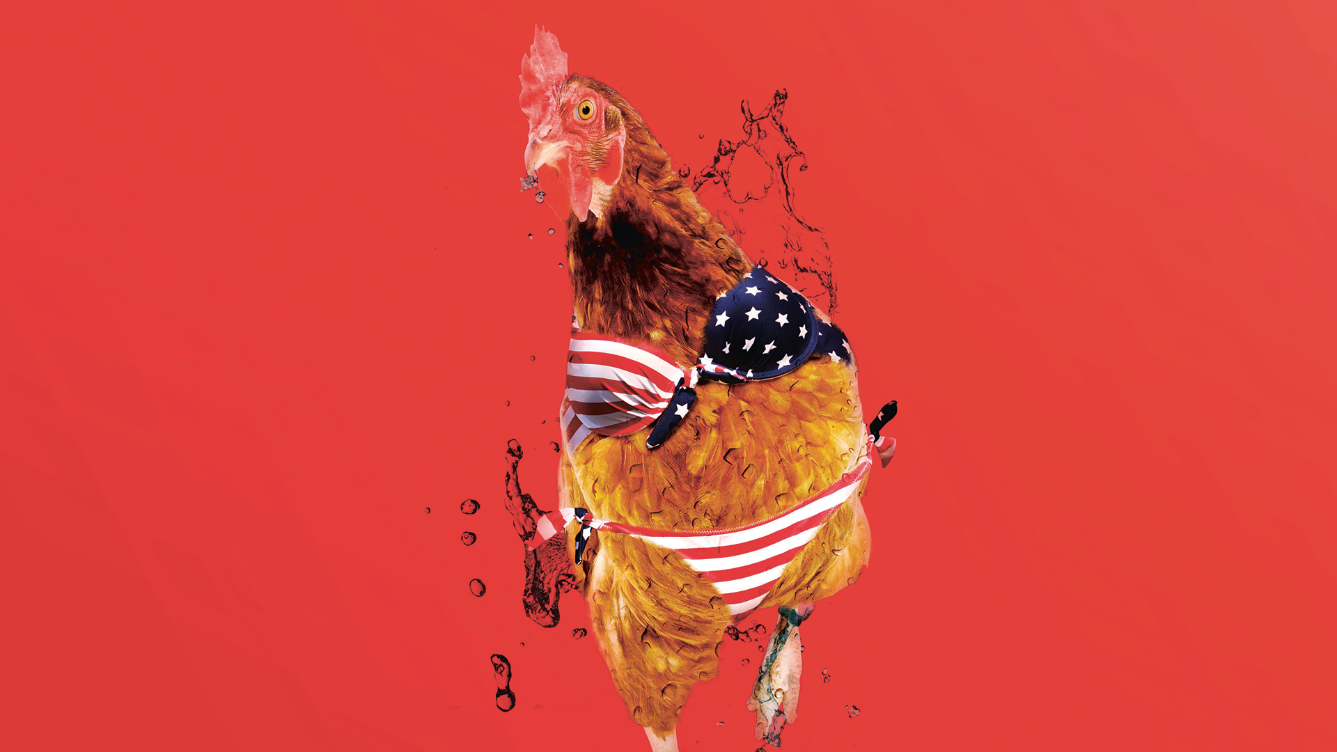 The truth behind the chlorinated chicken panic