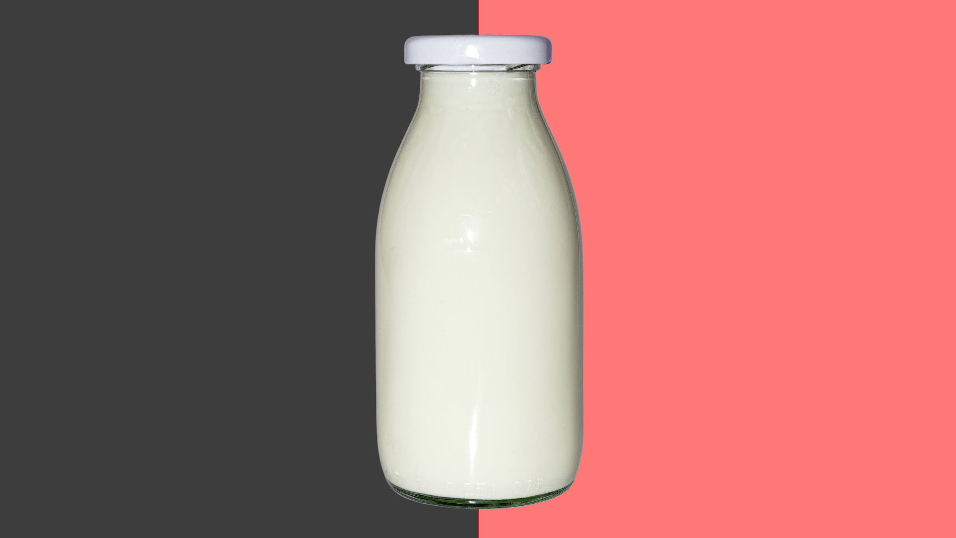 Milk Blood Heat by Dantiel W Moniz: A book full of light - Big Issue