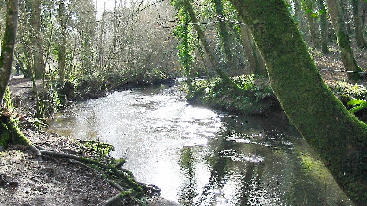 Water pollution: Map reveals amount of raw sewage dumped in your local ...
