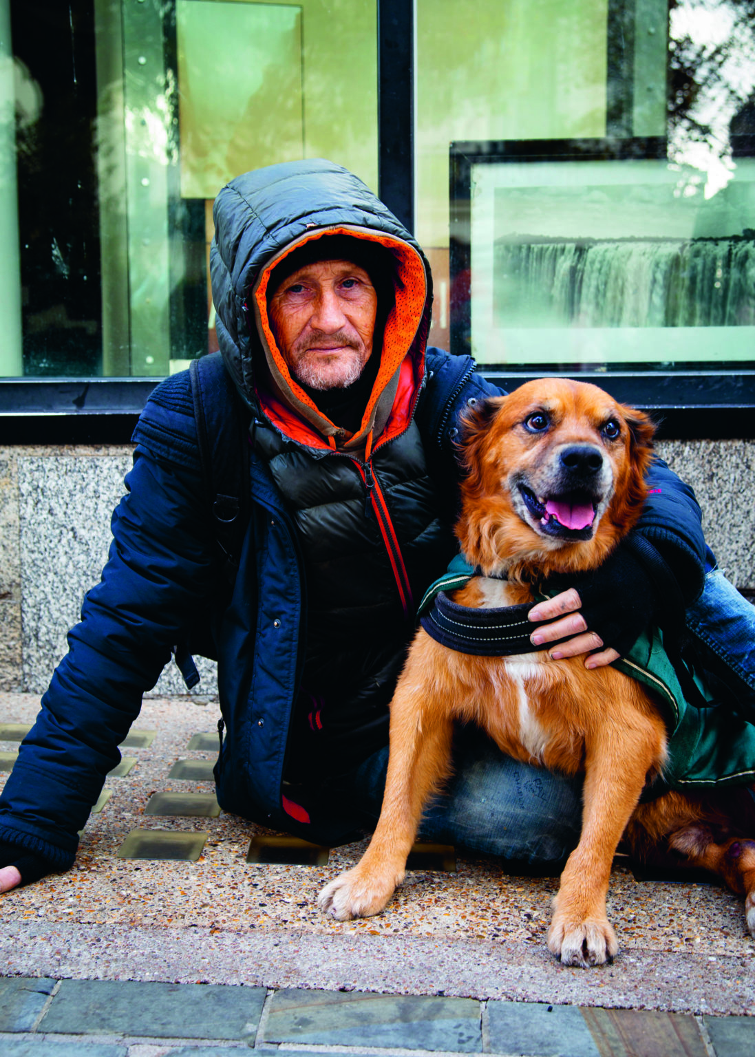 Dogs on the Streets: How homeless people and their pets got through the ...