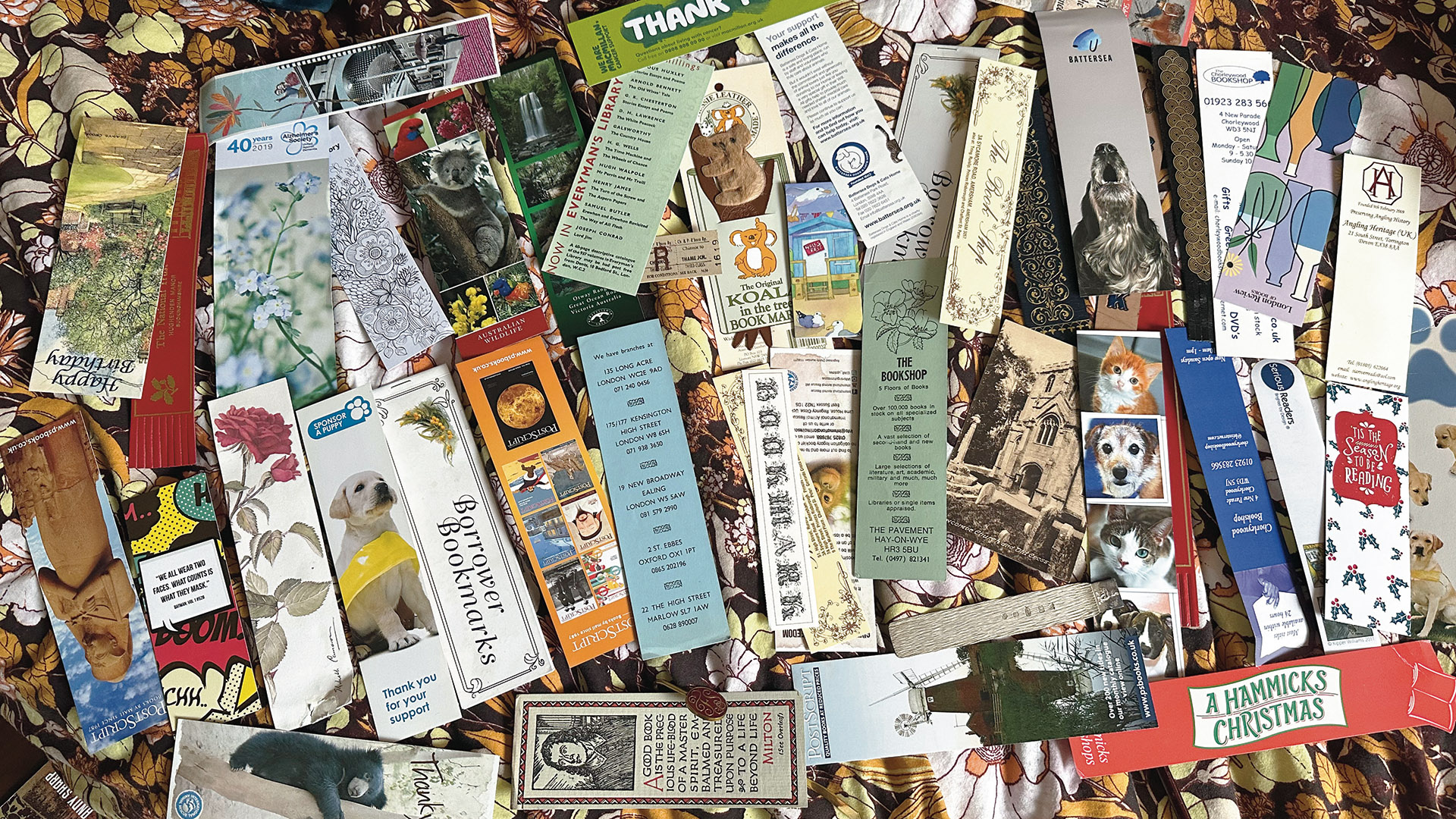 My Dad is gone, but our shared love of books remains - Big Issue