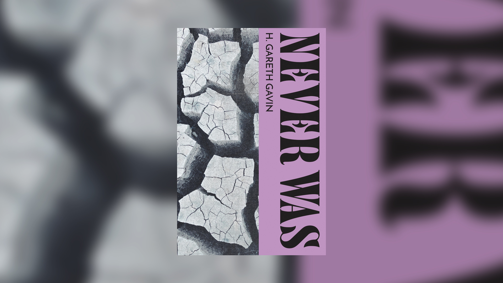 Never Was by H Gareth Gavin review: 'A dreamy and promising debut ...