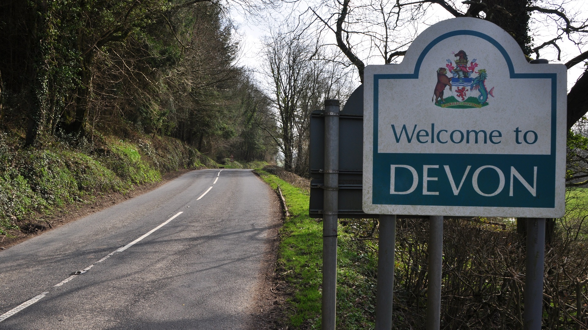 ‘People will die because of this’: Devon County Council considers axing ...