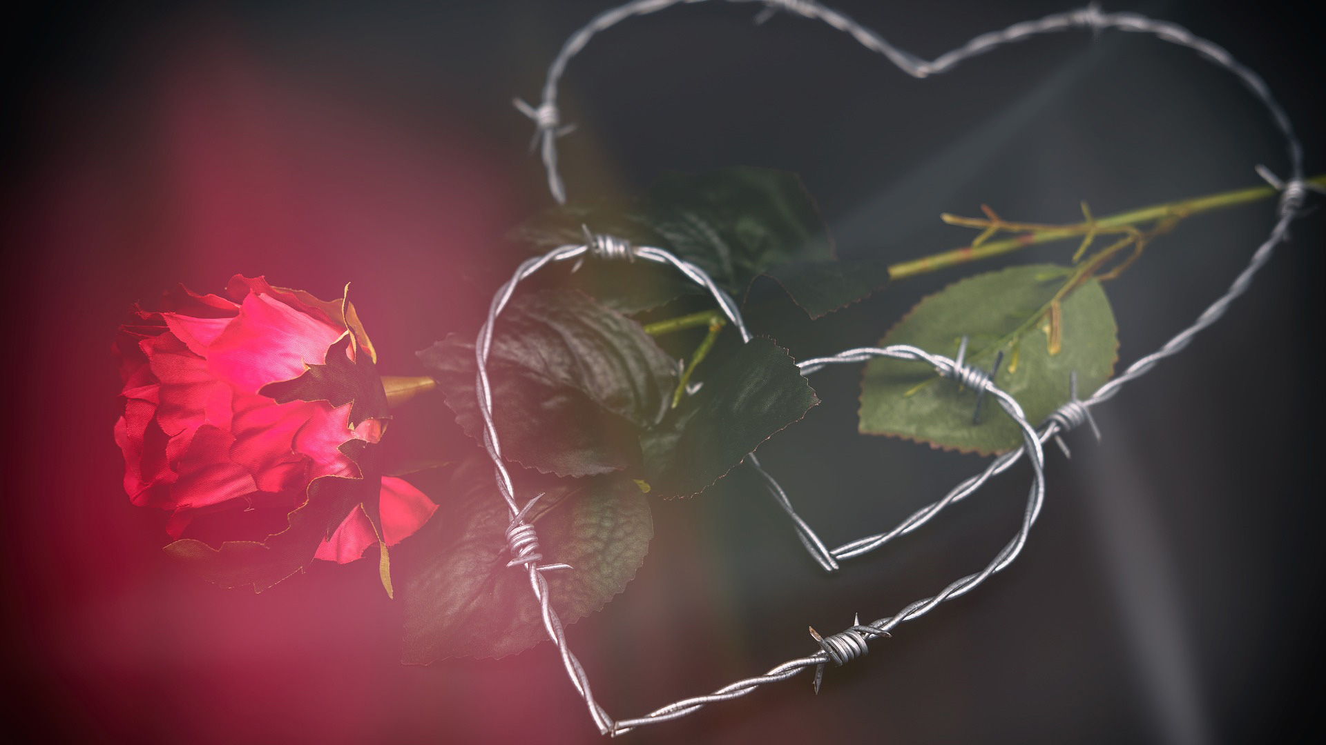 Top 5 romcoms with cons, chosen by PJ Ellis - Big Issue