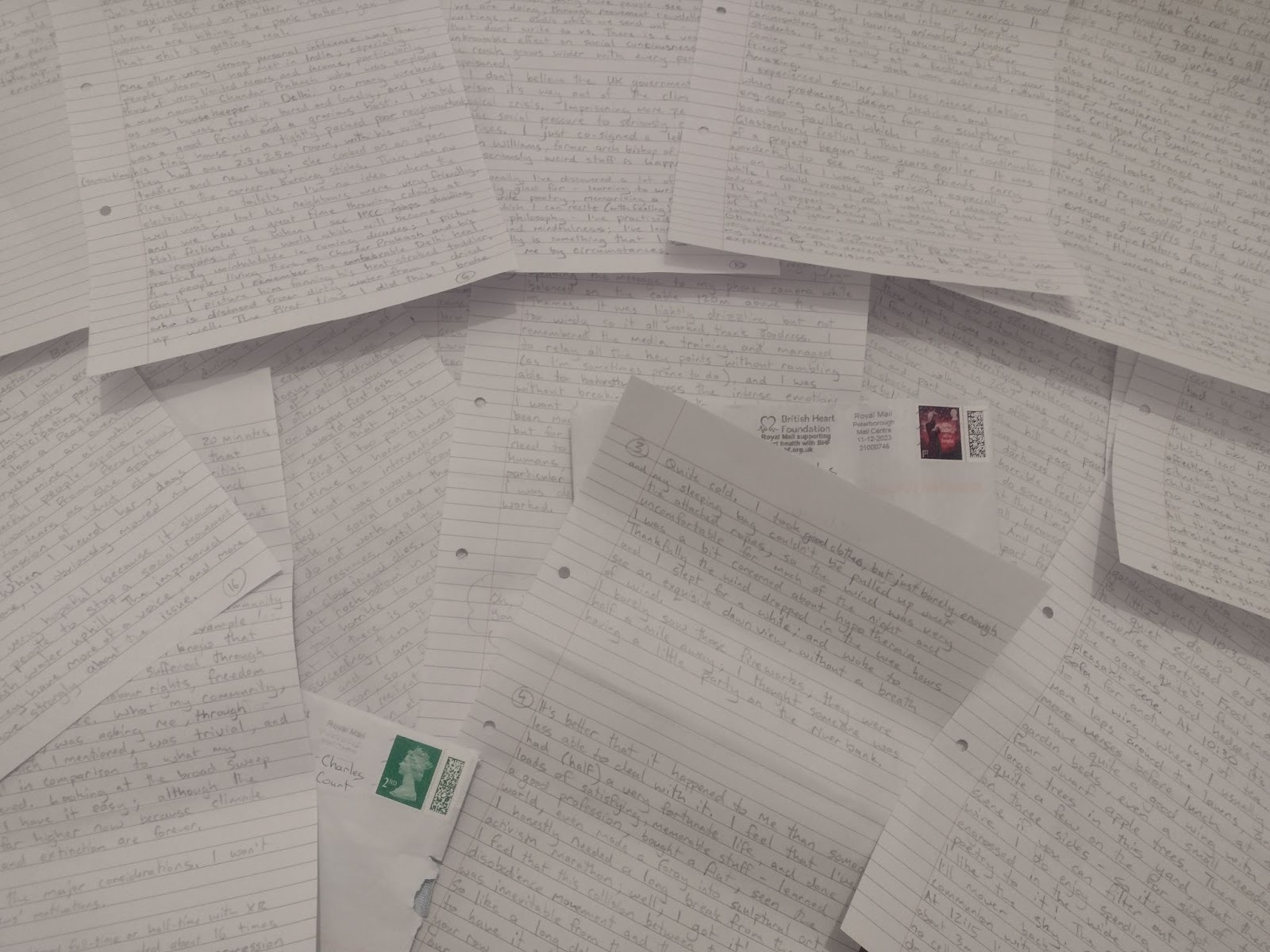 Just Stop Oil activists jailed for QE2 bridge protest's prison letters ...