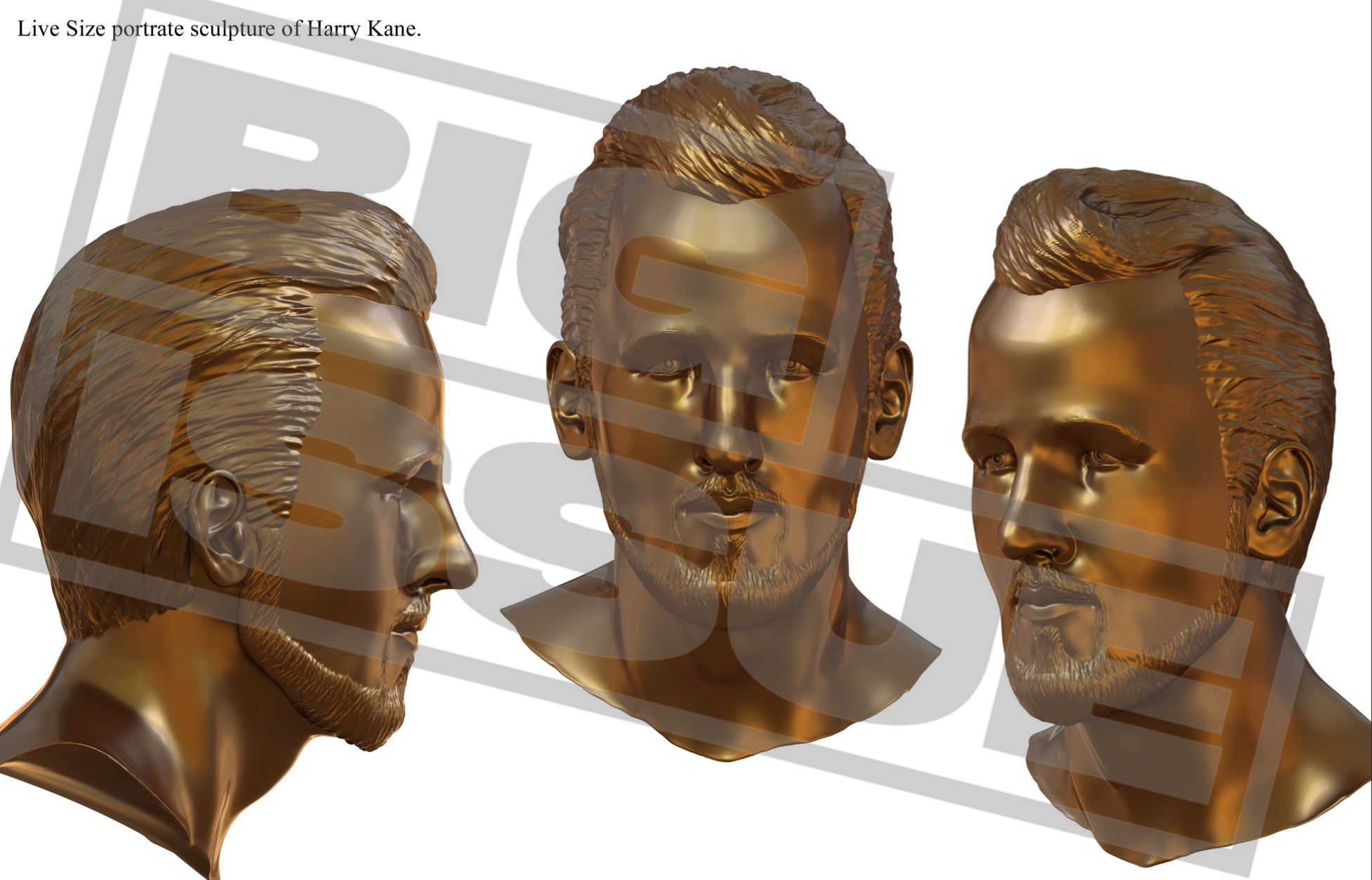 First look at council's Harry Kane statue hidden in storage for years ...