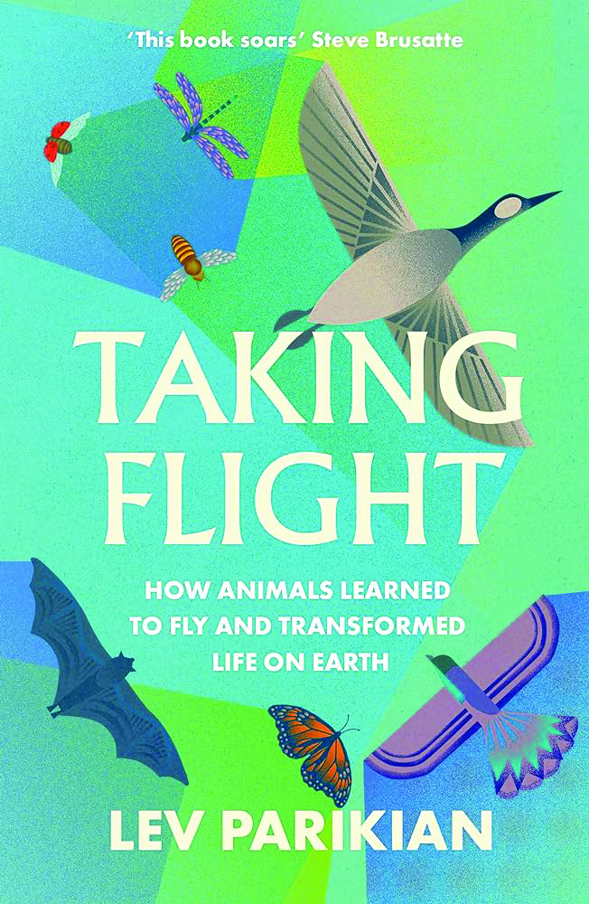 Why did humans never learn to fly? - Big Issue