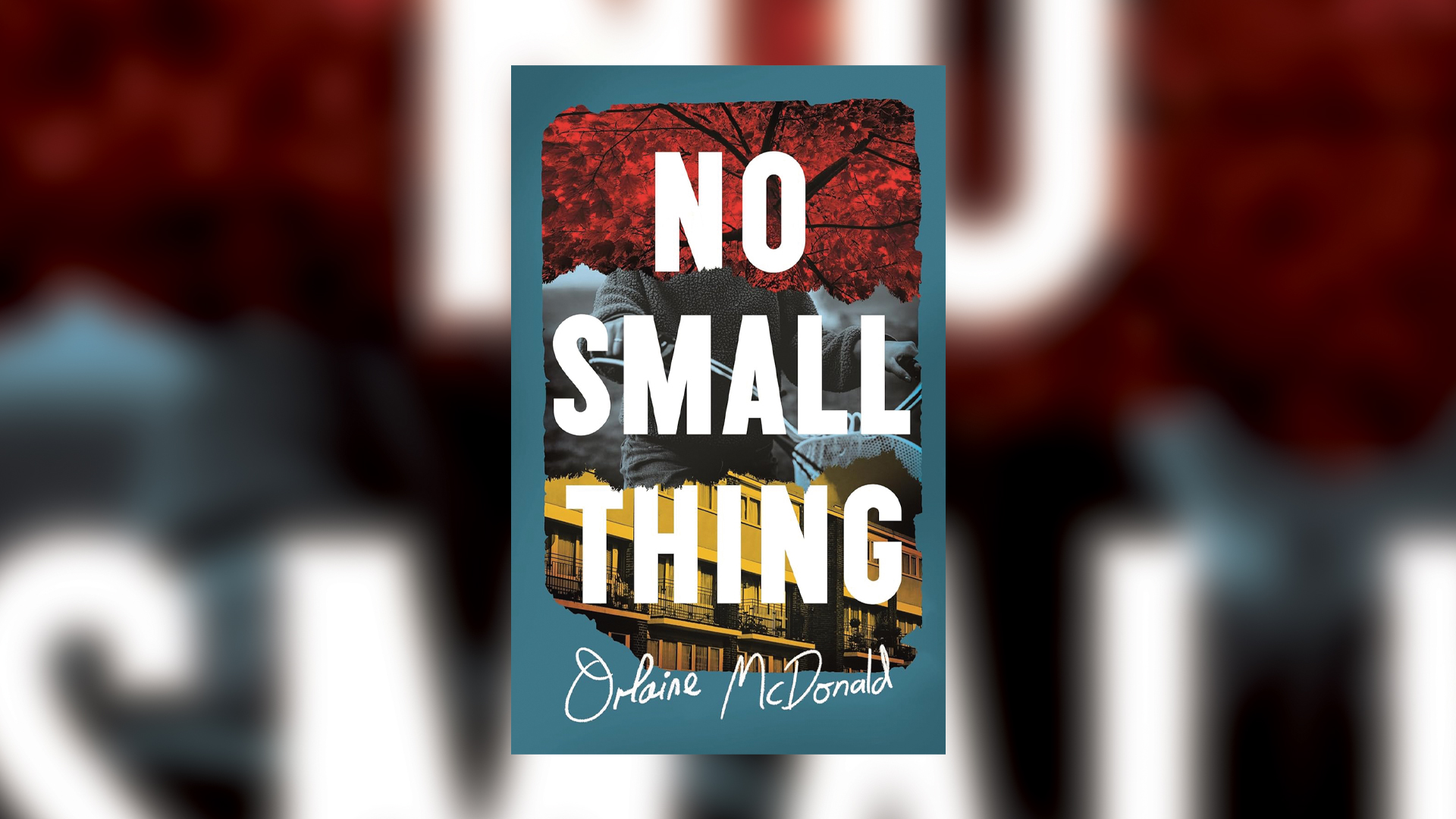 No Small Thing by Orlaine McDonald review – breaking the cycles of harm ...