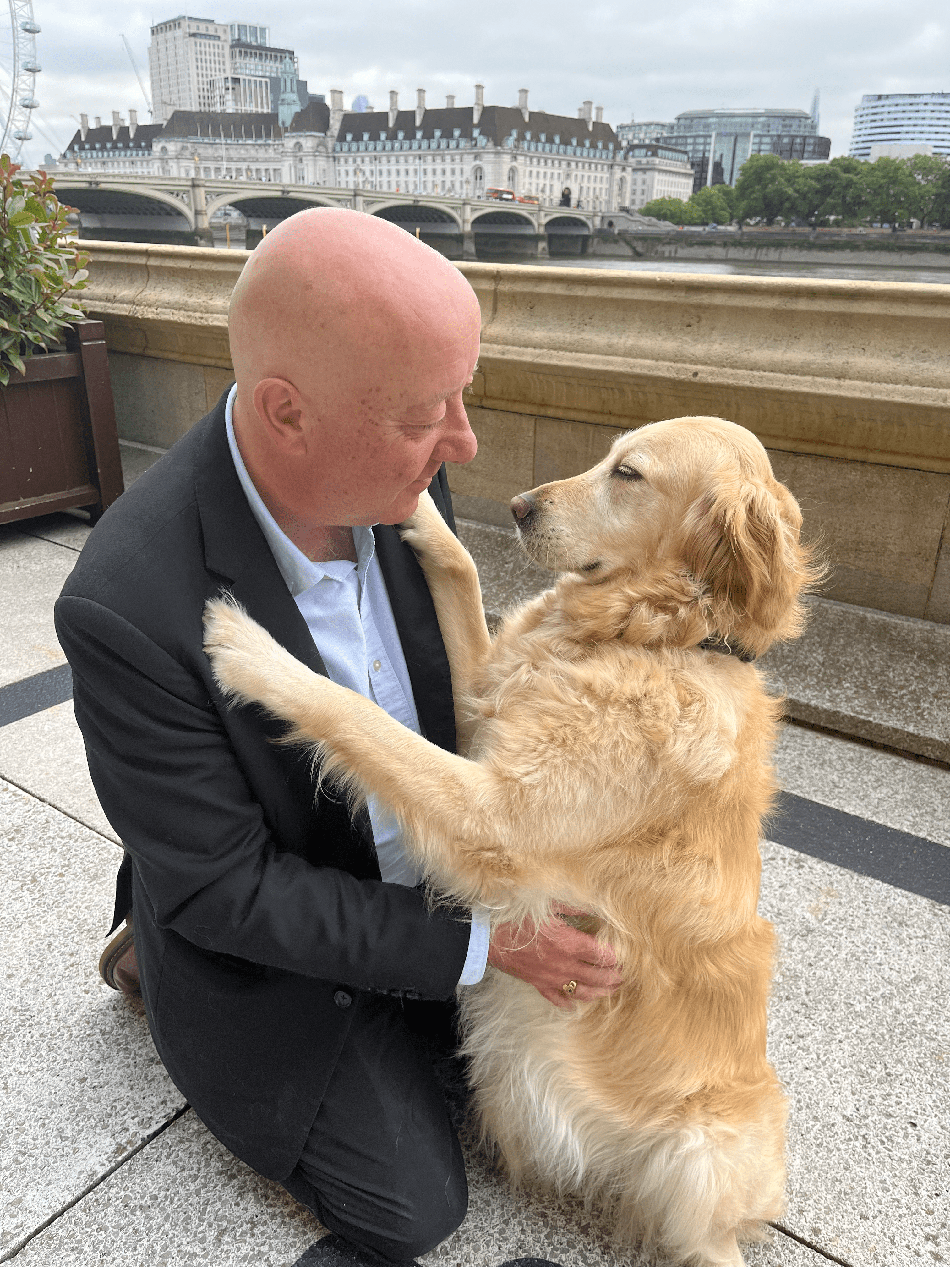 Meet Jennie – Lib Dem MP Steve Darling's guide dog