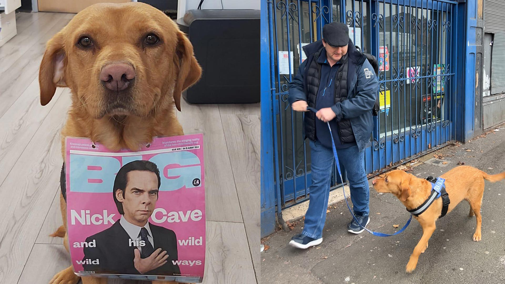 A day in the life of Crumble the Big Issue dog - Big Issue