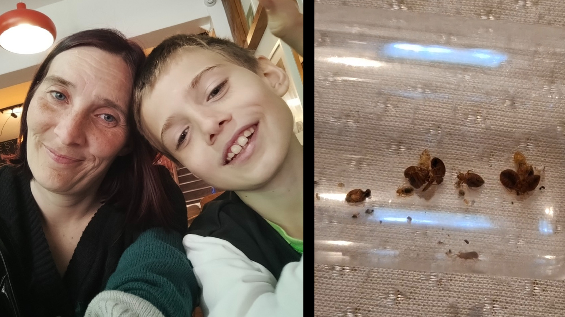 Tower block tenants trapped in 'living nightmare' by bed bugs - Big Issue