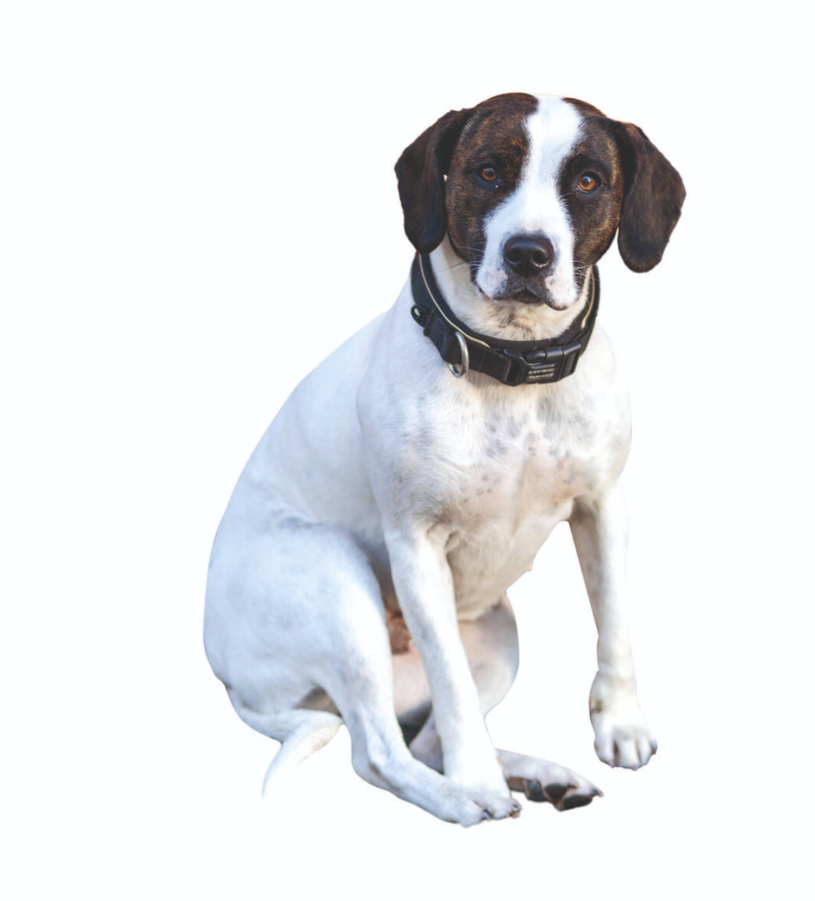 Sam Oates, Co-op, Bideford - Big Issue