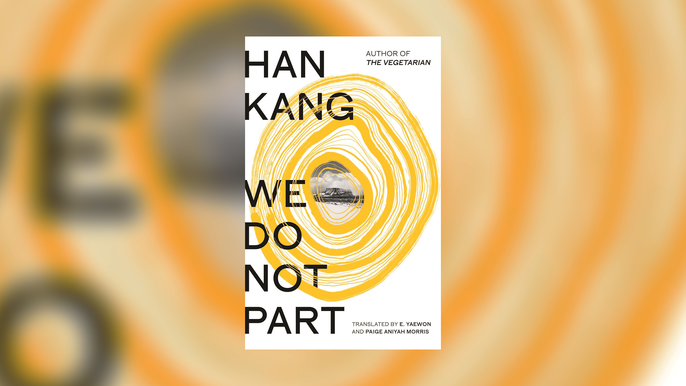 We Do Not Part by Han Kang review – scarred with South Korea's trauma and terror - Big Issue