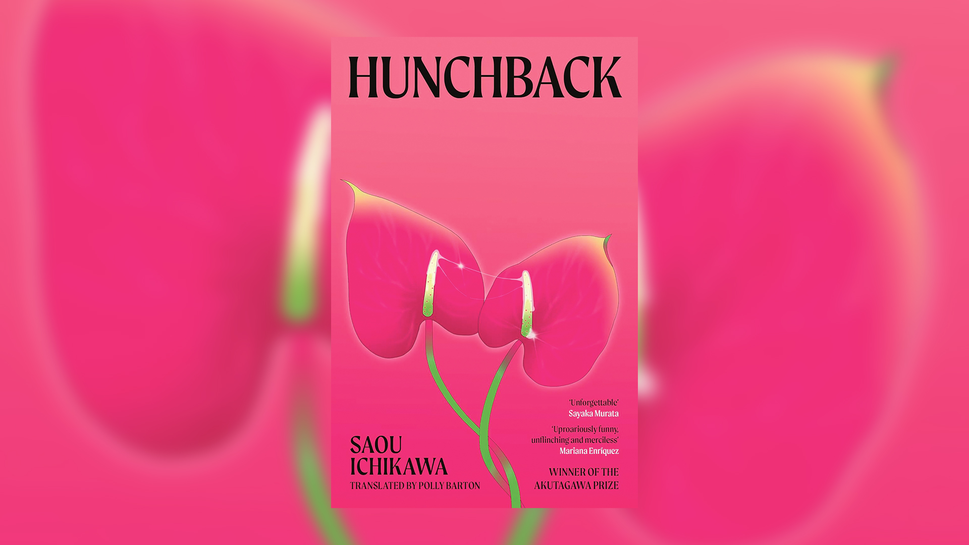 Hunchback by Saou Ichikawa review – a remarkable study of yearning ...