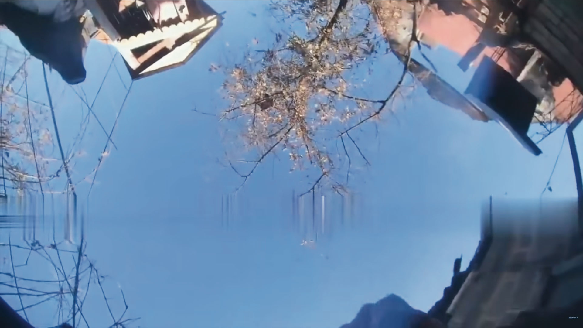 The viral video that cuts to the brutal heart of the Ukraine war - Big ...