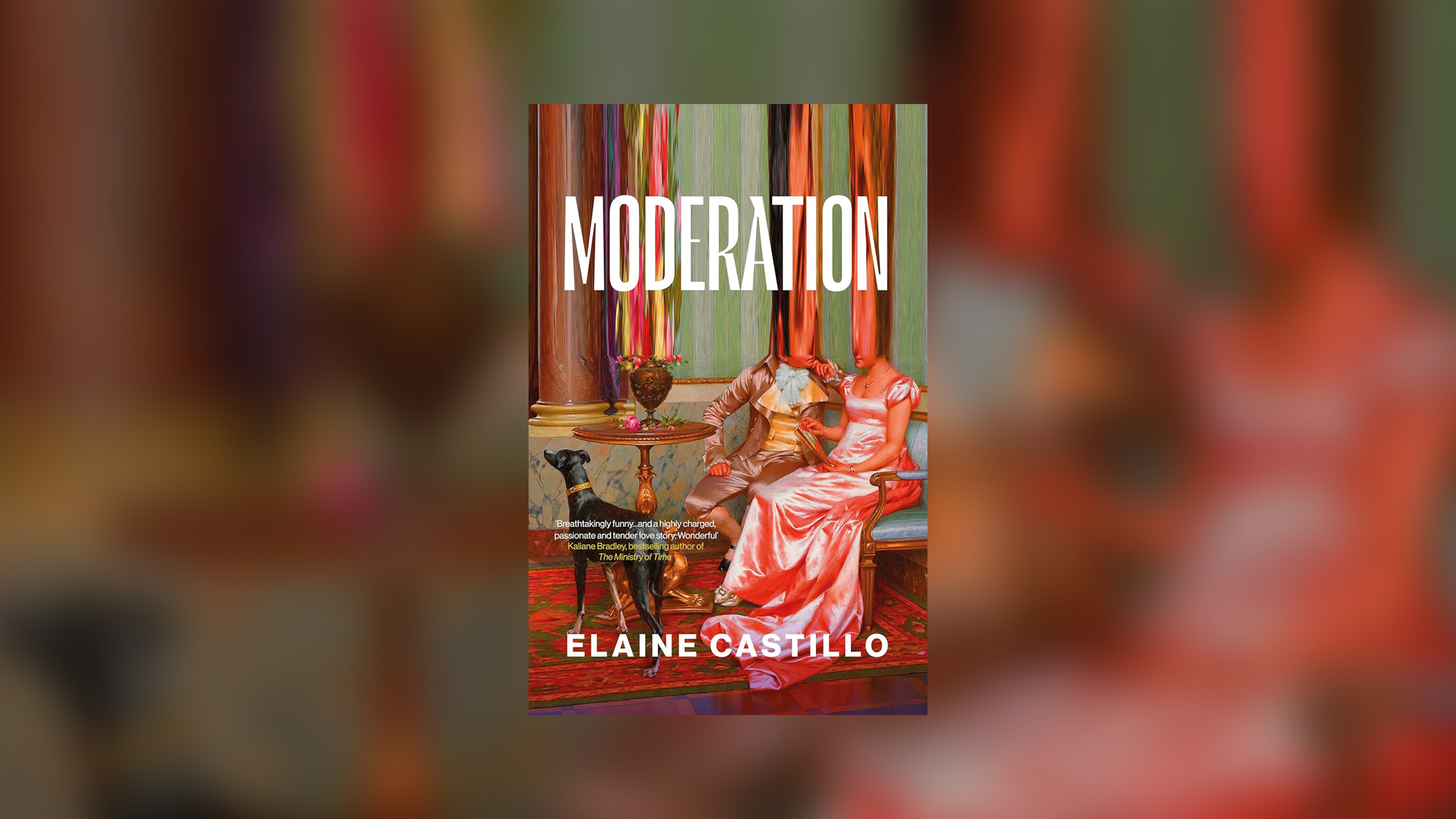 Moderation by Elaine Castillo review – modern love story falls short ...