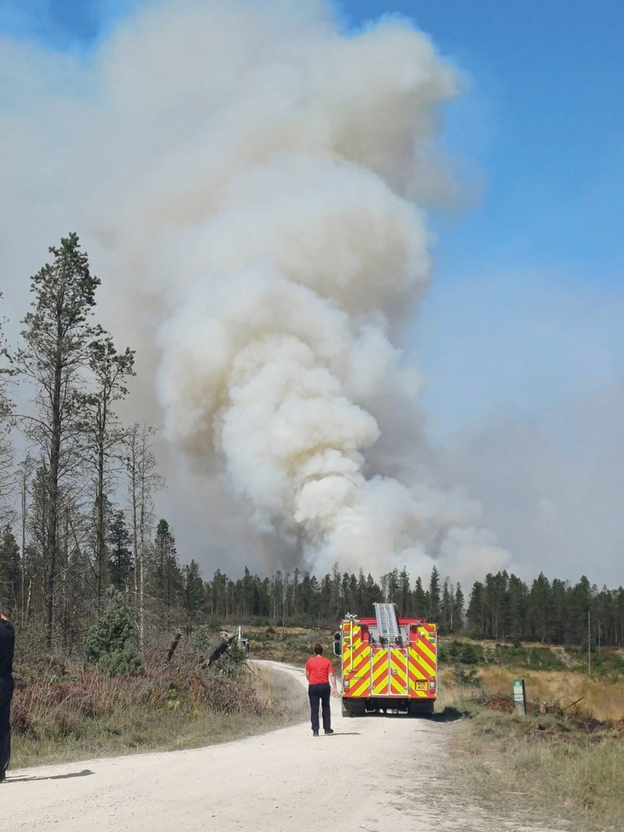 Wildfires are on the rise in Britain. So how do we protect ourselves ...