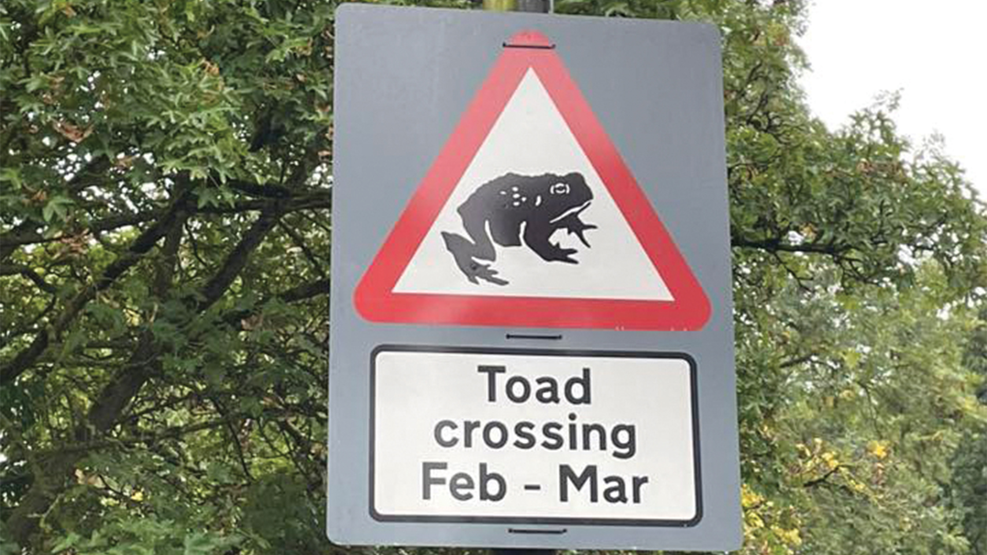 Letters: Maybe it's time the BBC monolith was split - Big Issue