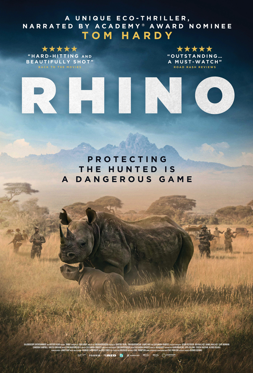 Rhinos are the face of extinction – but there's a small ray of hope ...