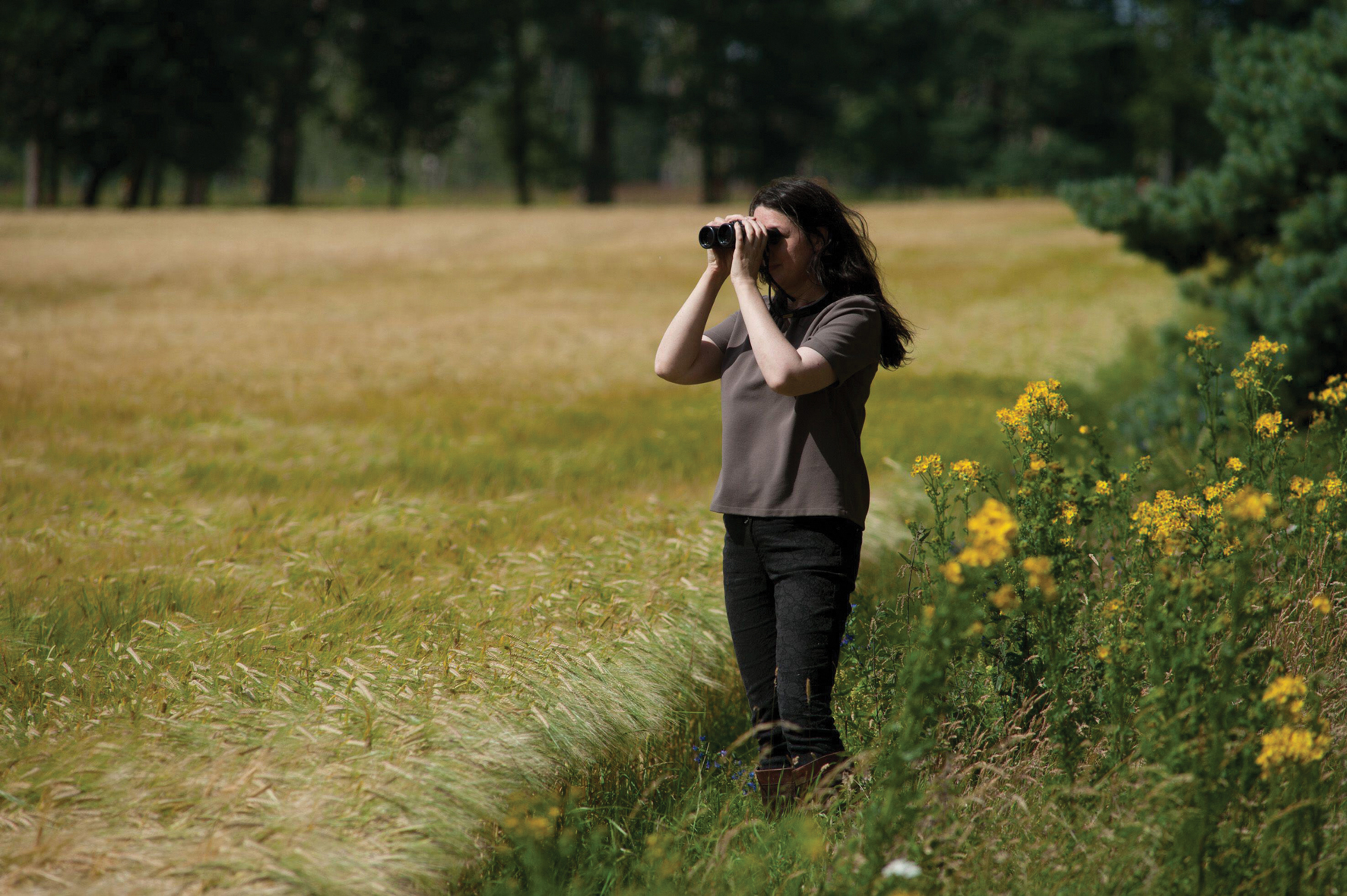 Helen Macdonald on how grief shaped their memoir H is for Hawk