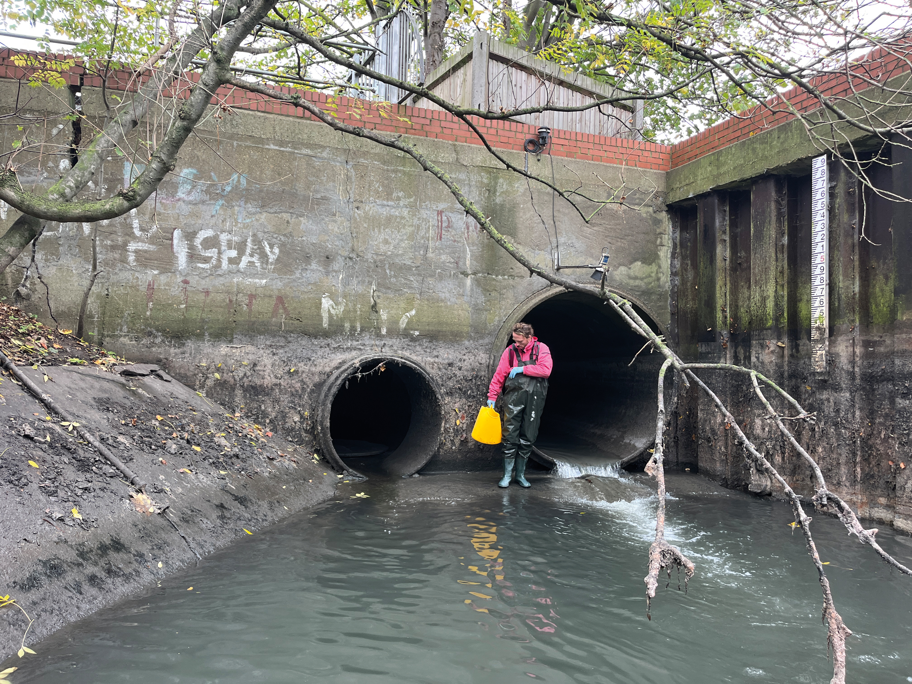 Why I waded through a river of raw sewage