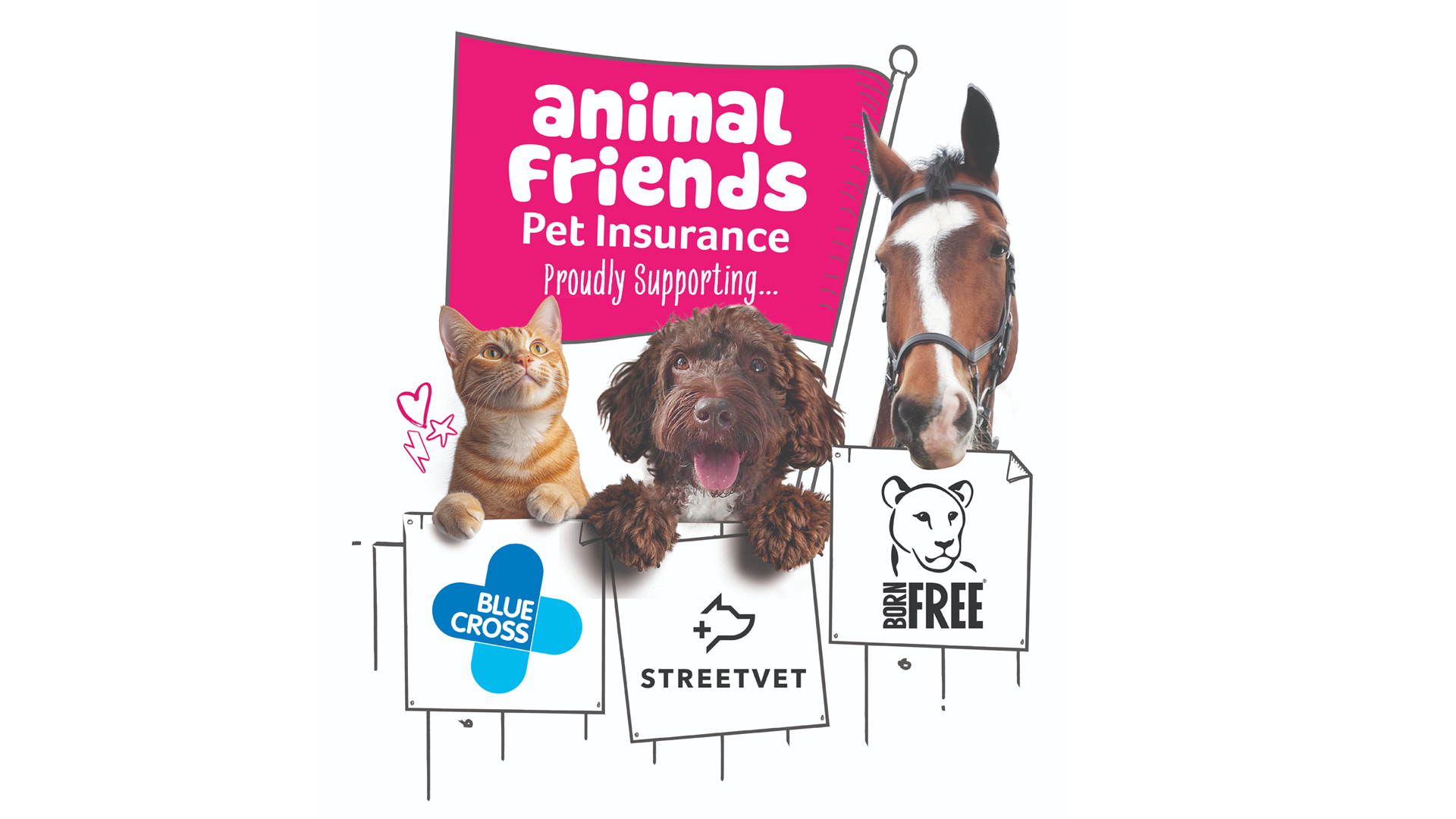 Animal Friends Insurance launches new charity mission to support ...