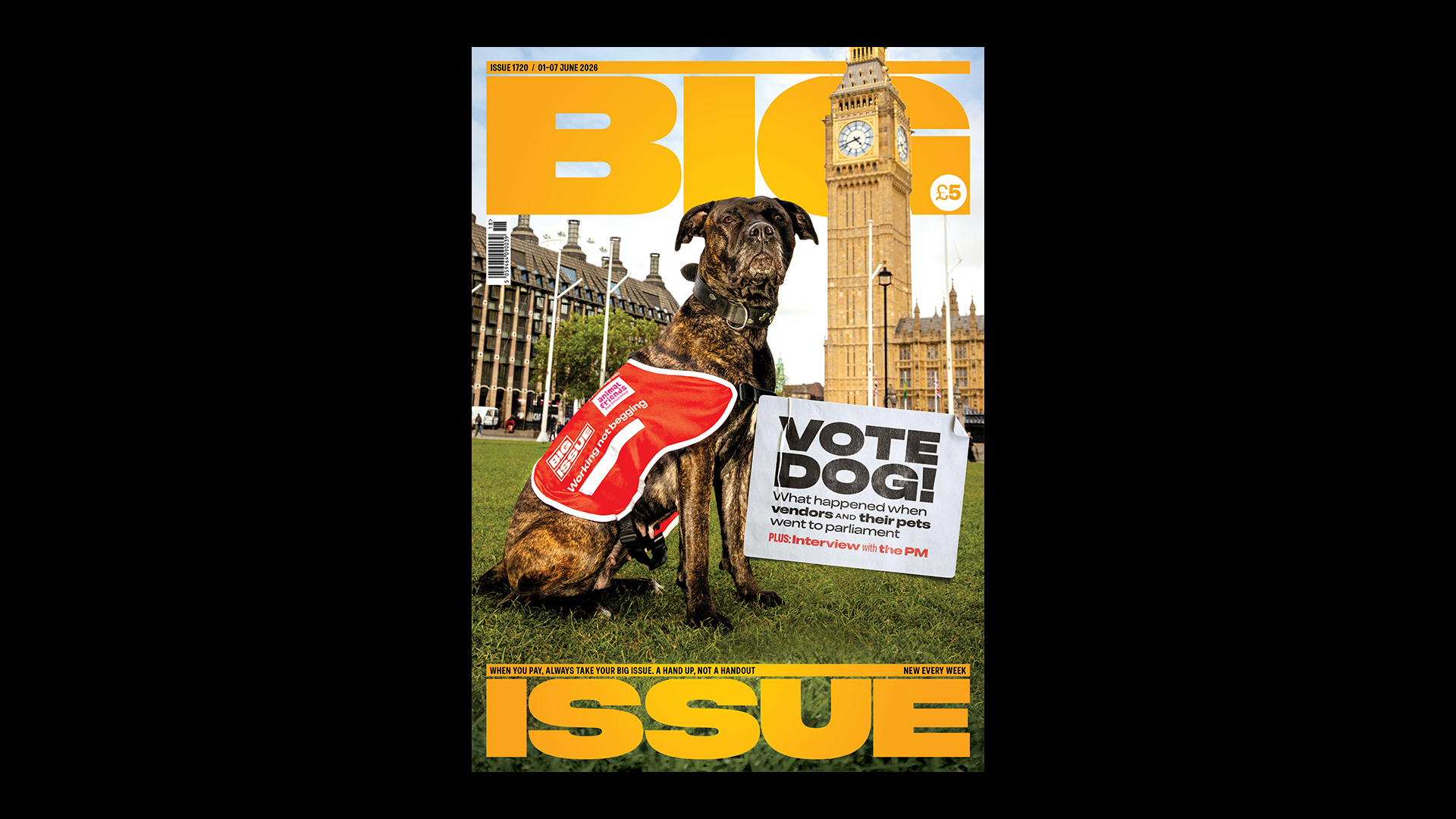 Inside the Big Issue: Vote Dog! - Big Issue