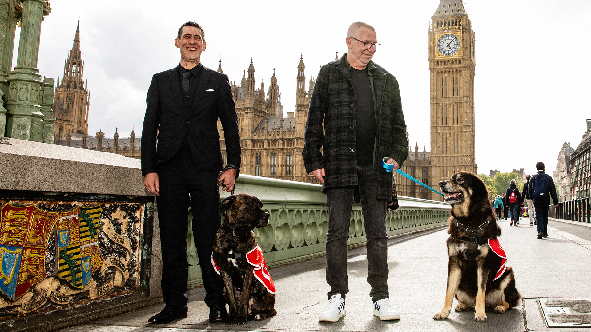 Animal Friends are fighting to keep people and animals together - Big Issue